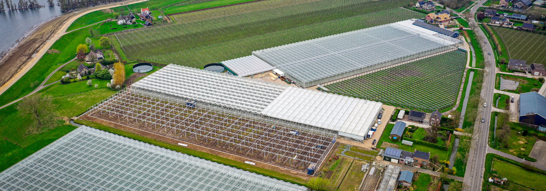 Pippel Bramen - Fase 2 - 7.577 m² - Kerklaan Greenhouses
